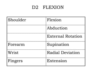 Shoulder Flexion D2 Extension