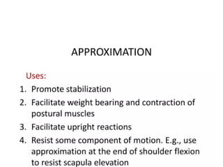 PNF- techniques along with its types, indications and contraindications ...