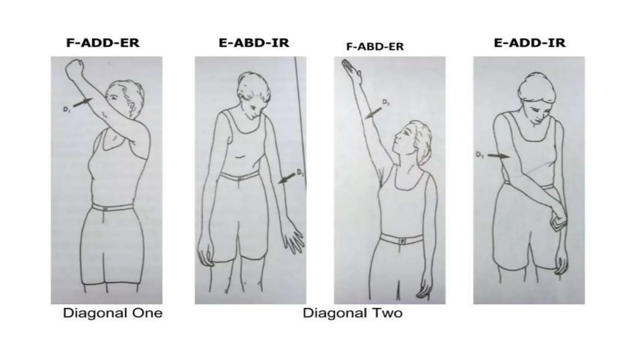 Propioceptive neuromuscular facilitation | PPT