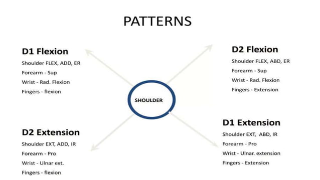 Propioceptive neuromuscular facilitation | PPT