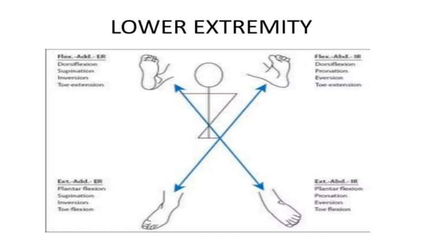 Propioceptive neuromuscular facilitation | PPT