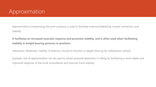 PNF%20techniques.pptx