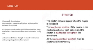 PNF%20techniques.pptx