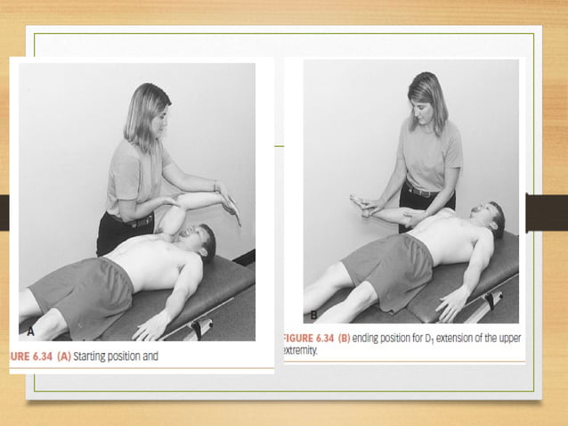 PNF 2 NEW-1.pptx Proprioceptive neuromuscular Fasclitation | PPTX
