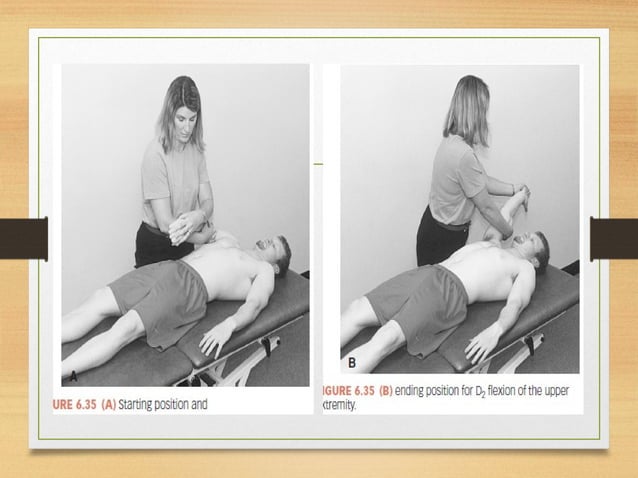 PNF 2 NEW-1.pptx Proprioceptive neuromuscular Fasclitation | PPTX