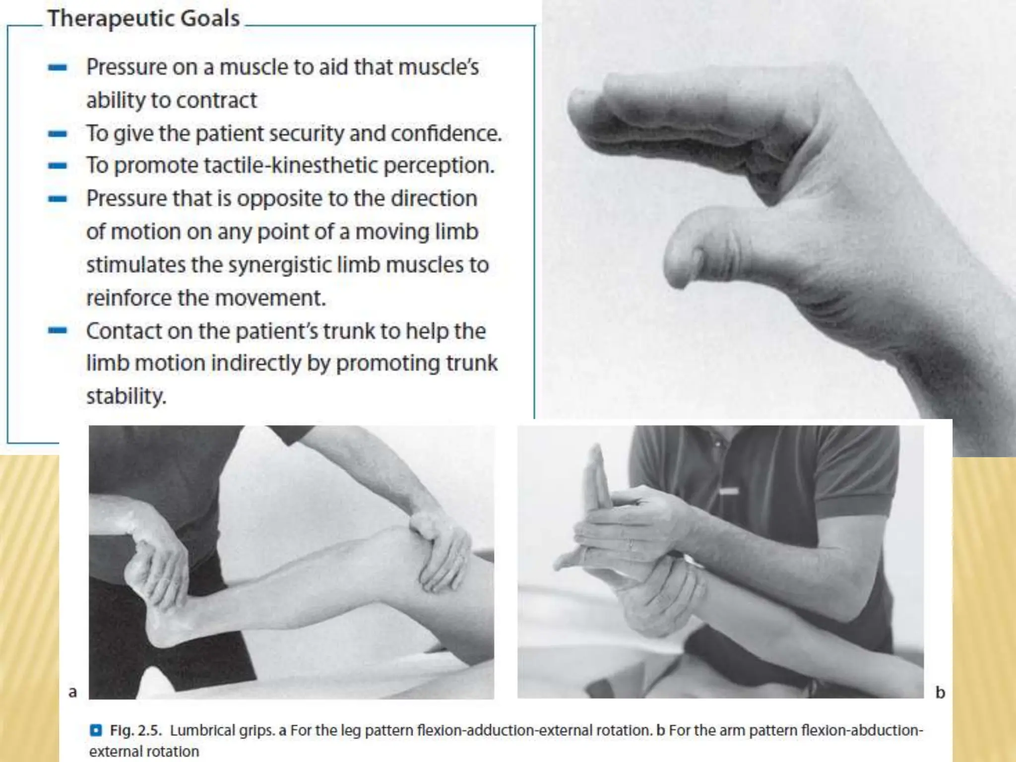 BASICS OF PROPIOCEPTIVE NEURO MUSCULAR FACILITATION.pptx