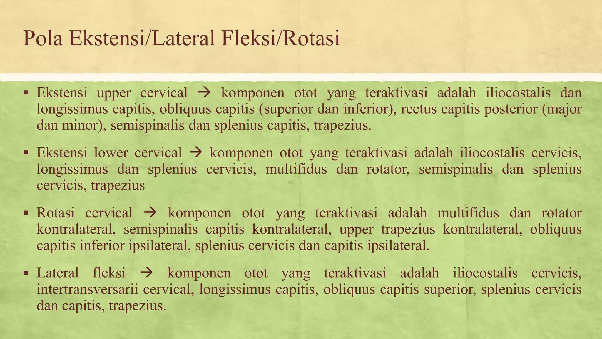 PNF cervical | PDF