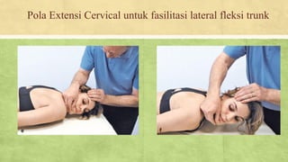 PNF cervical | PDF