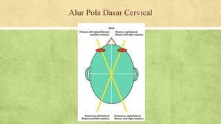 PNF cervical | PDF