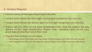 PNF cervical | PDF