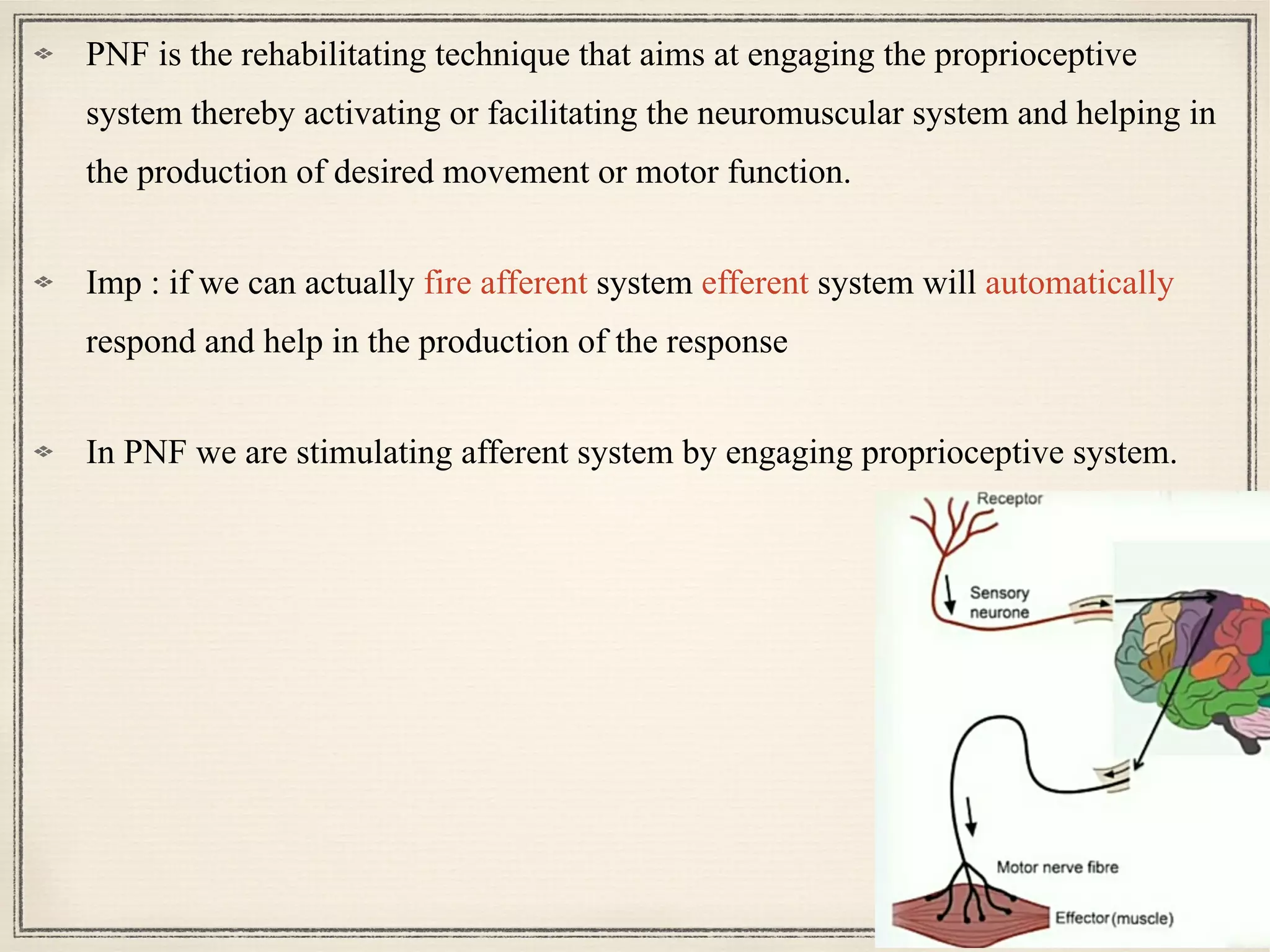 Proprioceptive Neuromuscular Facilitation (PNF) | PDF