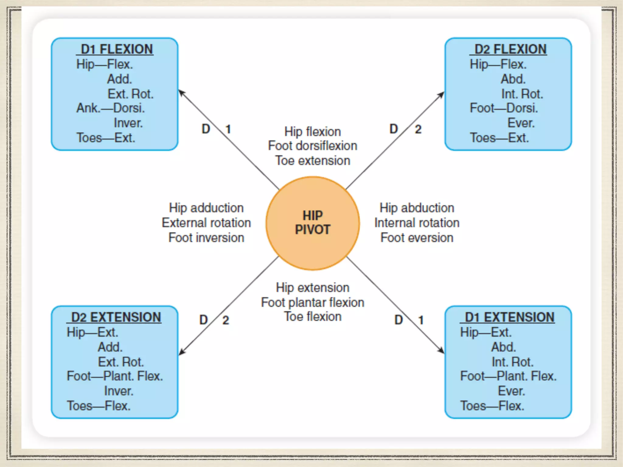 Proprioceptive Neuromuscular Facilitation (PNF) | PDF