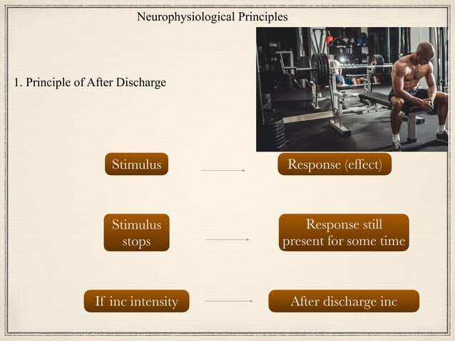 Proprioceptive Neuromuscular Facilitation (PNF) | PDF