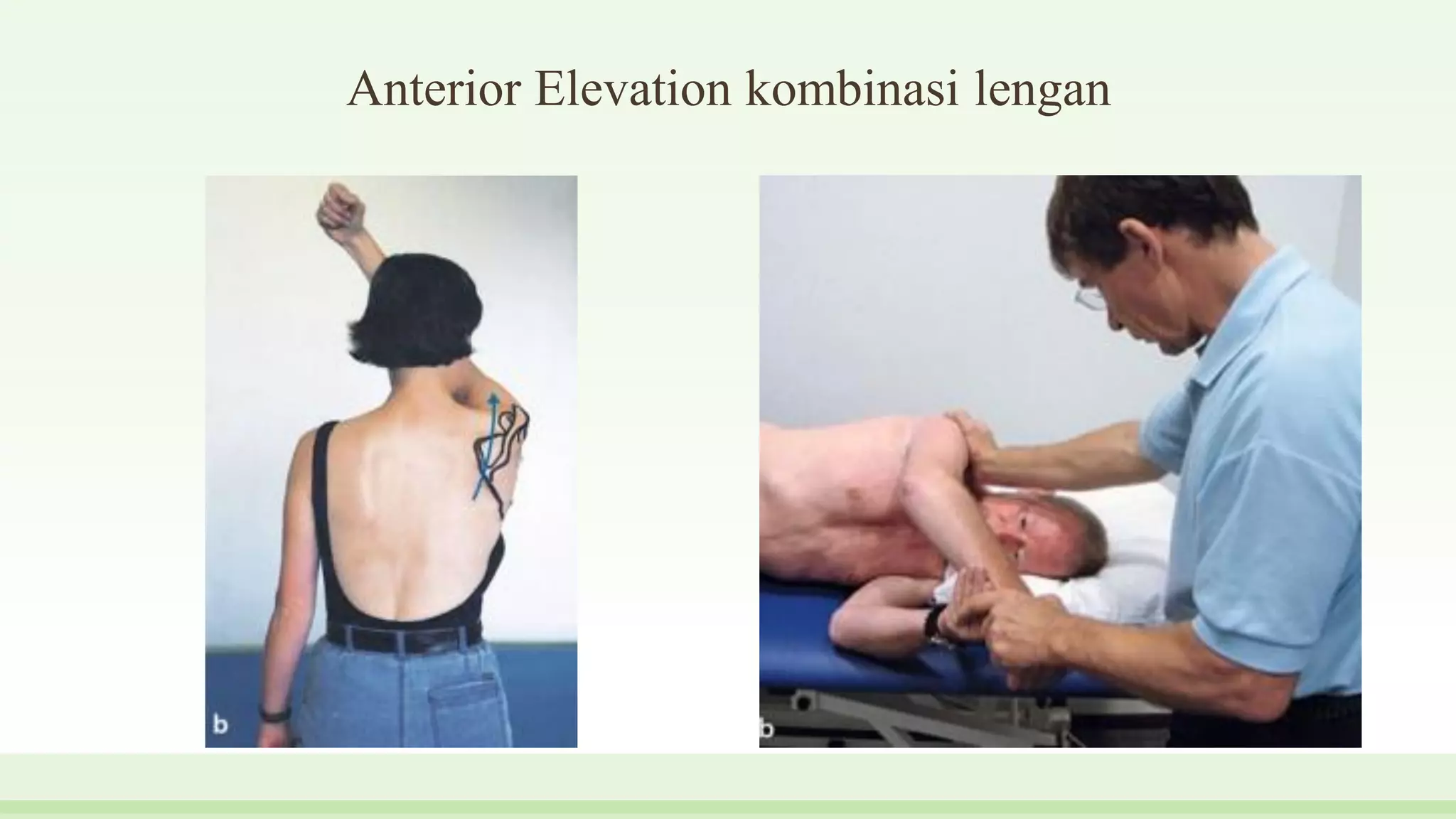 PNF scapula dan pelvis | PDF