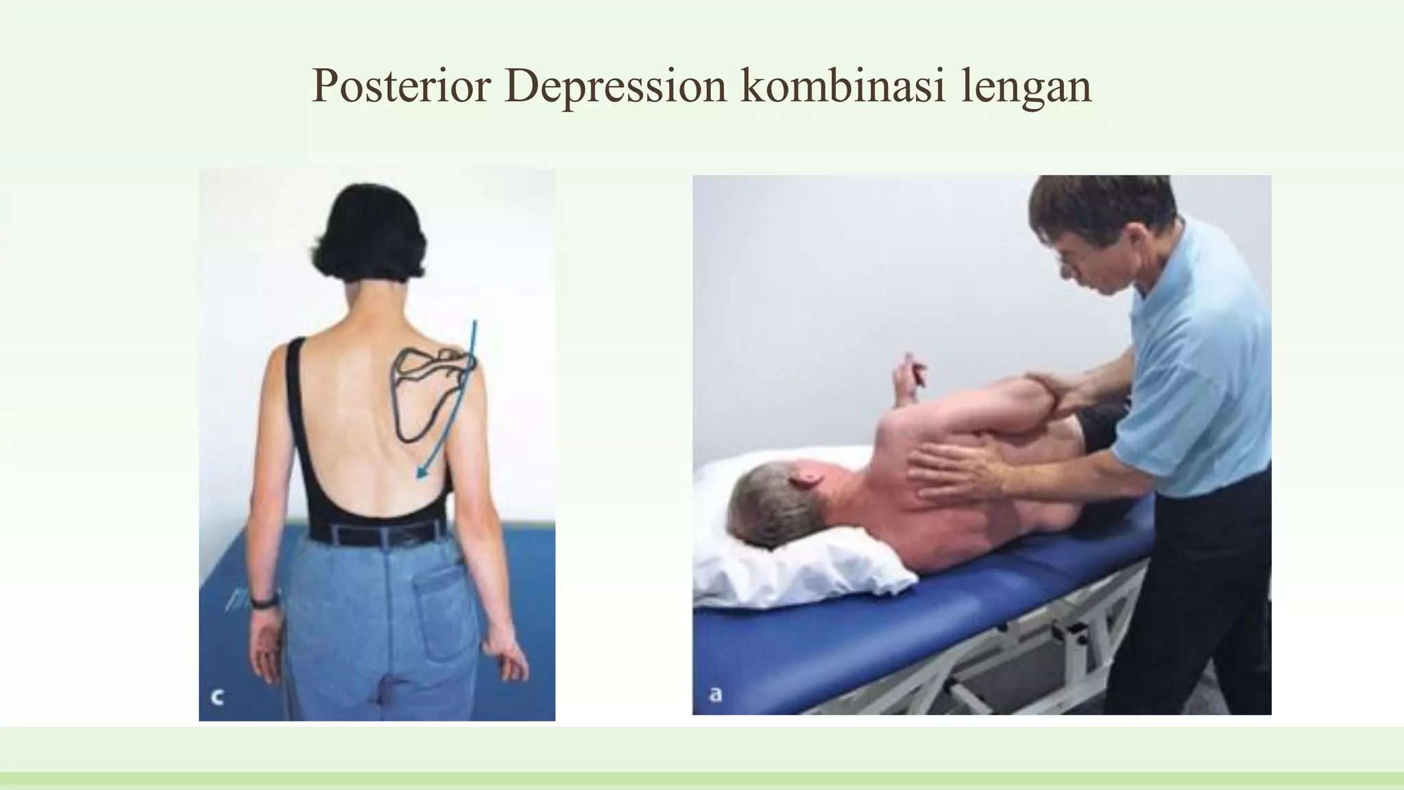 PNF scapula dan pelvis | PDF