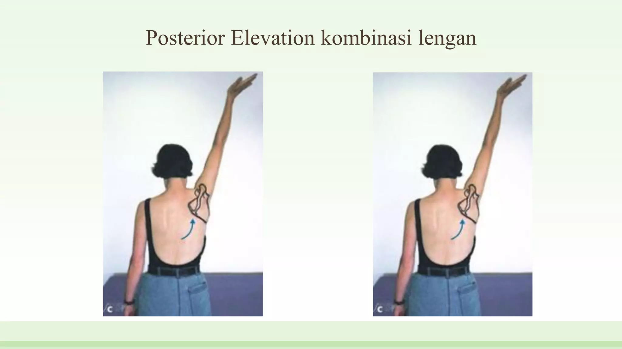 PNF scapula dan pelvis | PDF