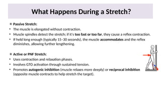 PNF_Stretching_fundamental exercise.pptx
