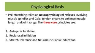 PNF_Stretching_fundamental exercise.pptx