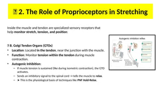 PNF_Stretching_fundamental exercise.pptx