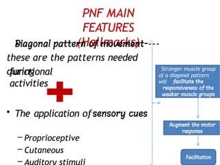 PNF Approach and Techniques!!!!!!! .pptx