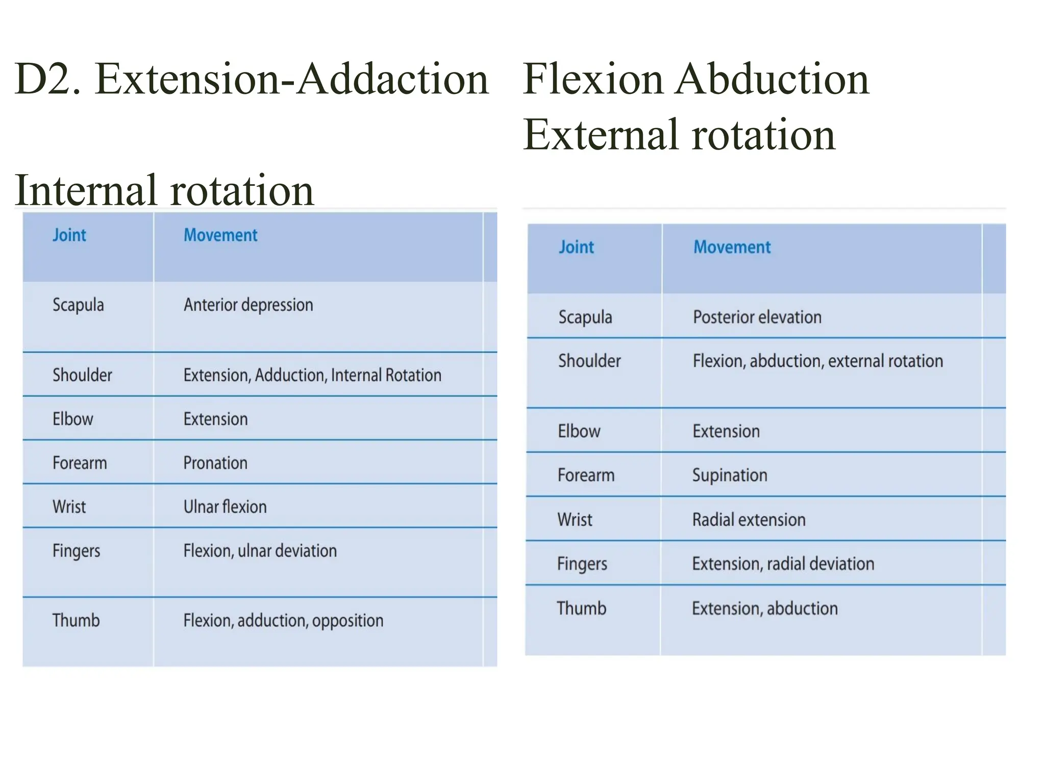 PNF techniques and procedures (presentation) .pptx