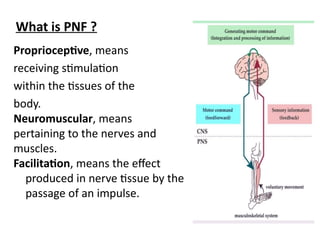PNF techniques and procedures (presentation) .pptx