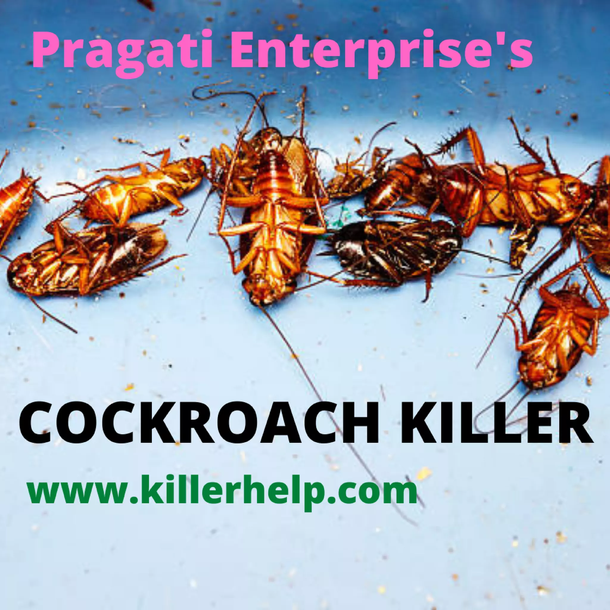 Cockroach Killer Help | PDF