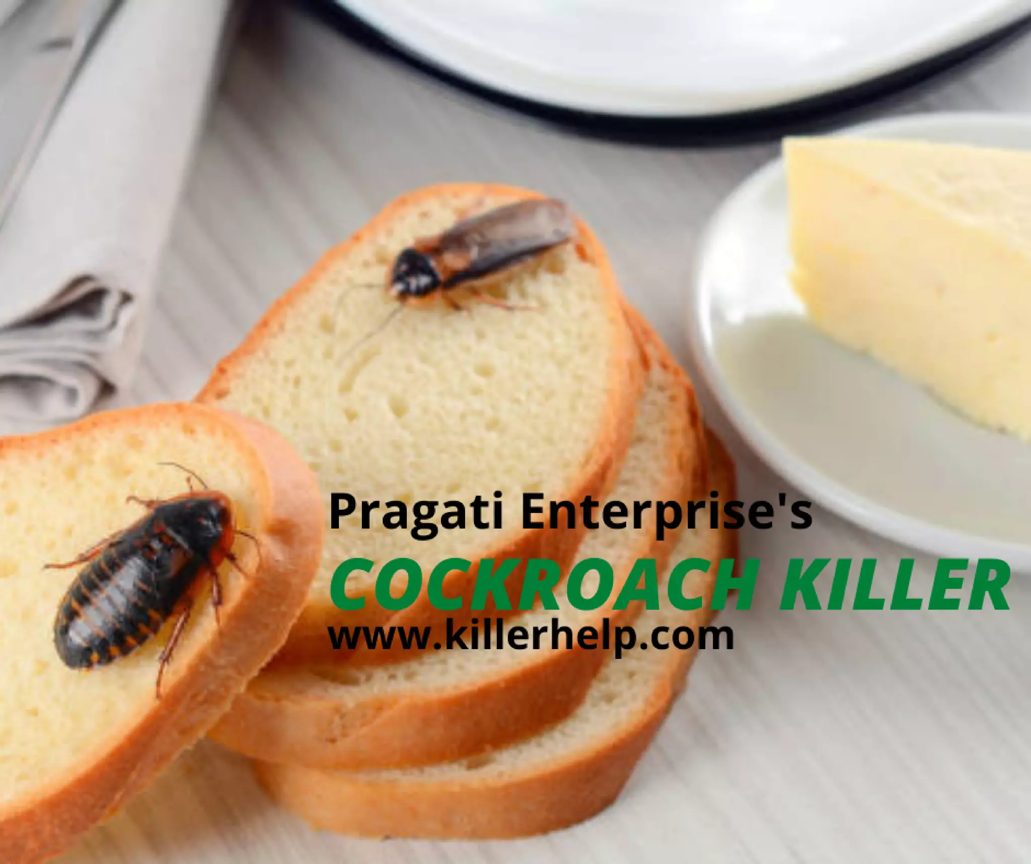 Cockroach Killer Help | PDF