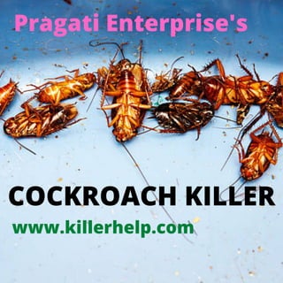 Cockroach Killer Help | PDF