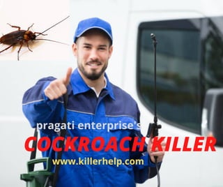 Cockroach Killer Help | PDF