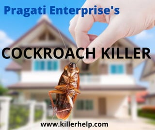 Cockroach Killer Help | PDF