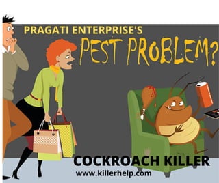 Cockroach Killer Help | PDF