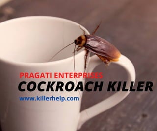 Cockroach Killer Help | PDF