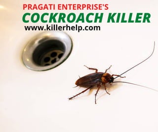 Cockroach Killer Help | PDF