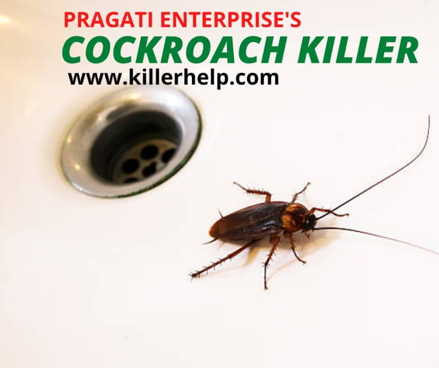 Cockroach Killer Help | PDF
