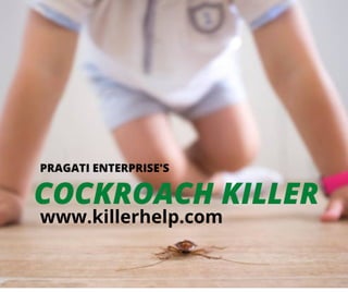 Cockroach Killer Help | PDF