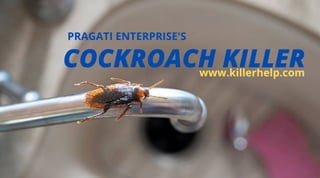 Cockroach Killer Help | PDF