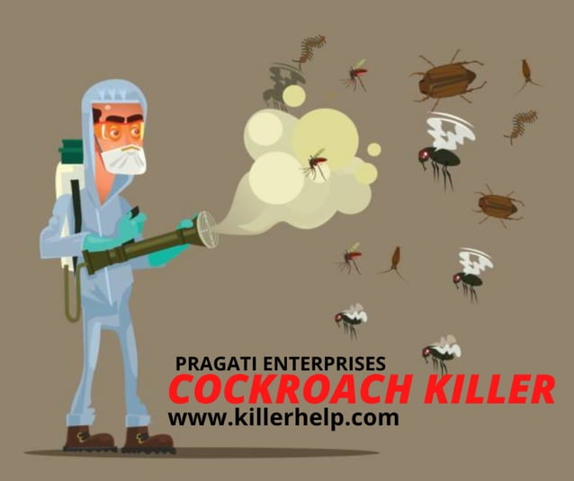 Cockroach Killer Help | PDF