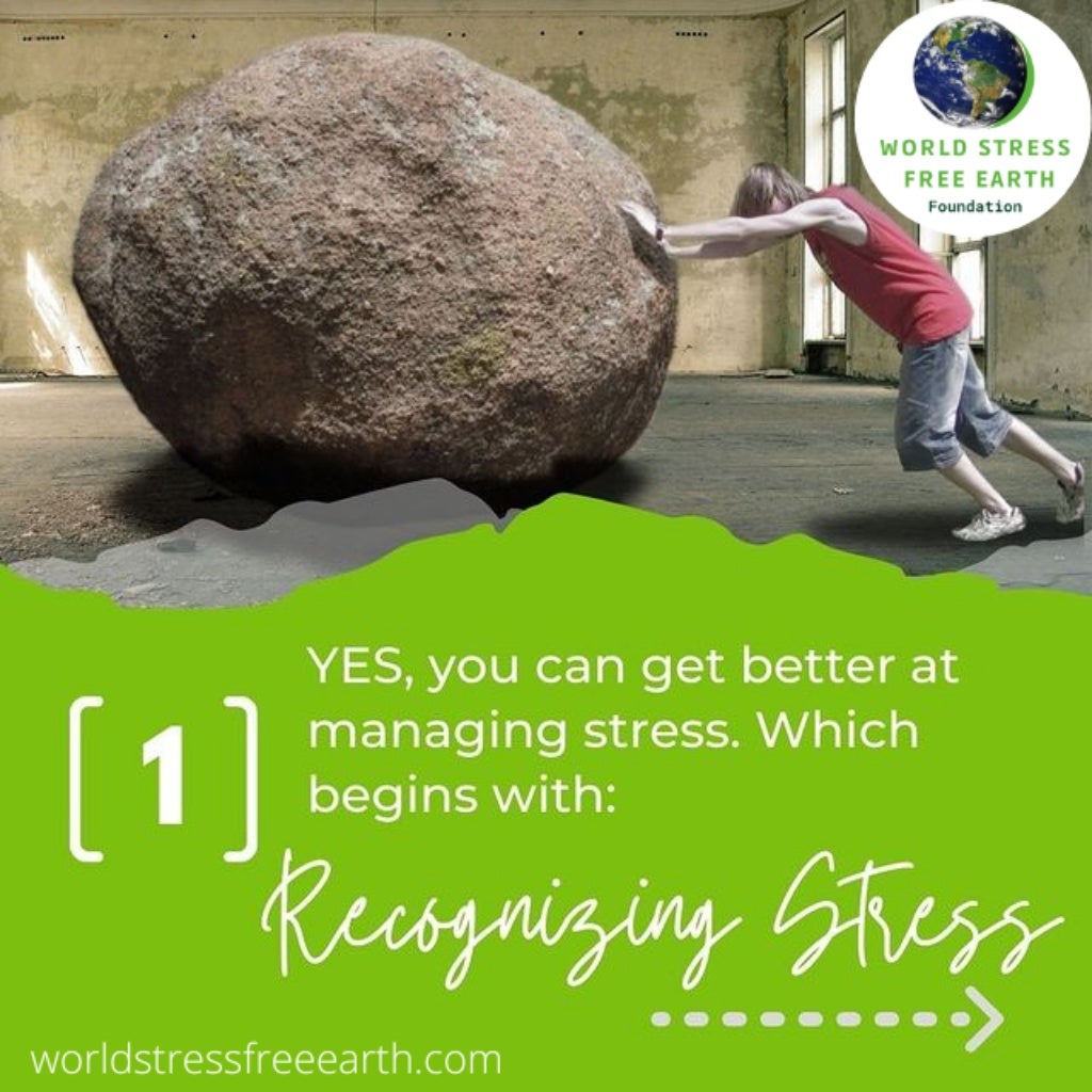 World Stress Free Earth | PDF