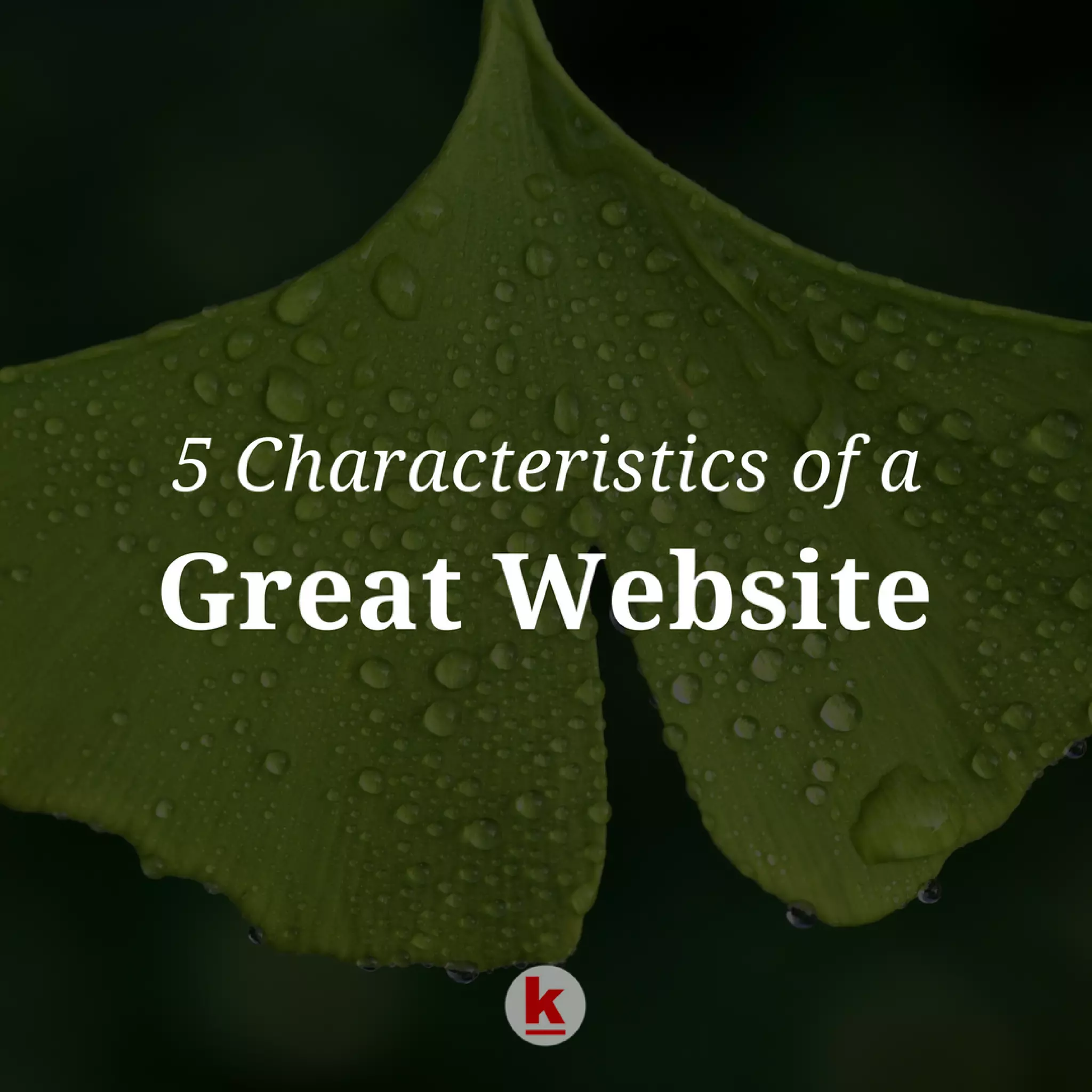 Characteristics of an Ideal Website | PDF