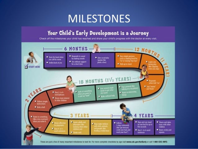 Postnatal Development Period