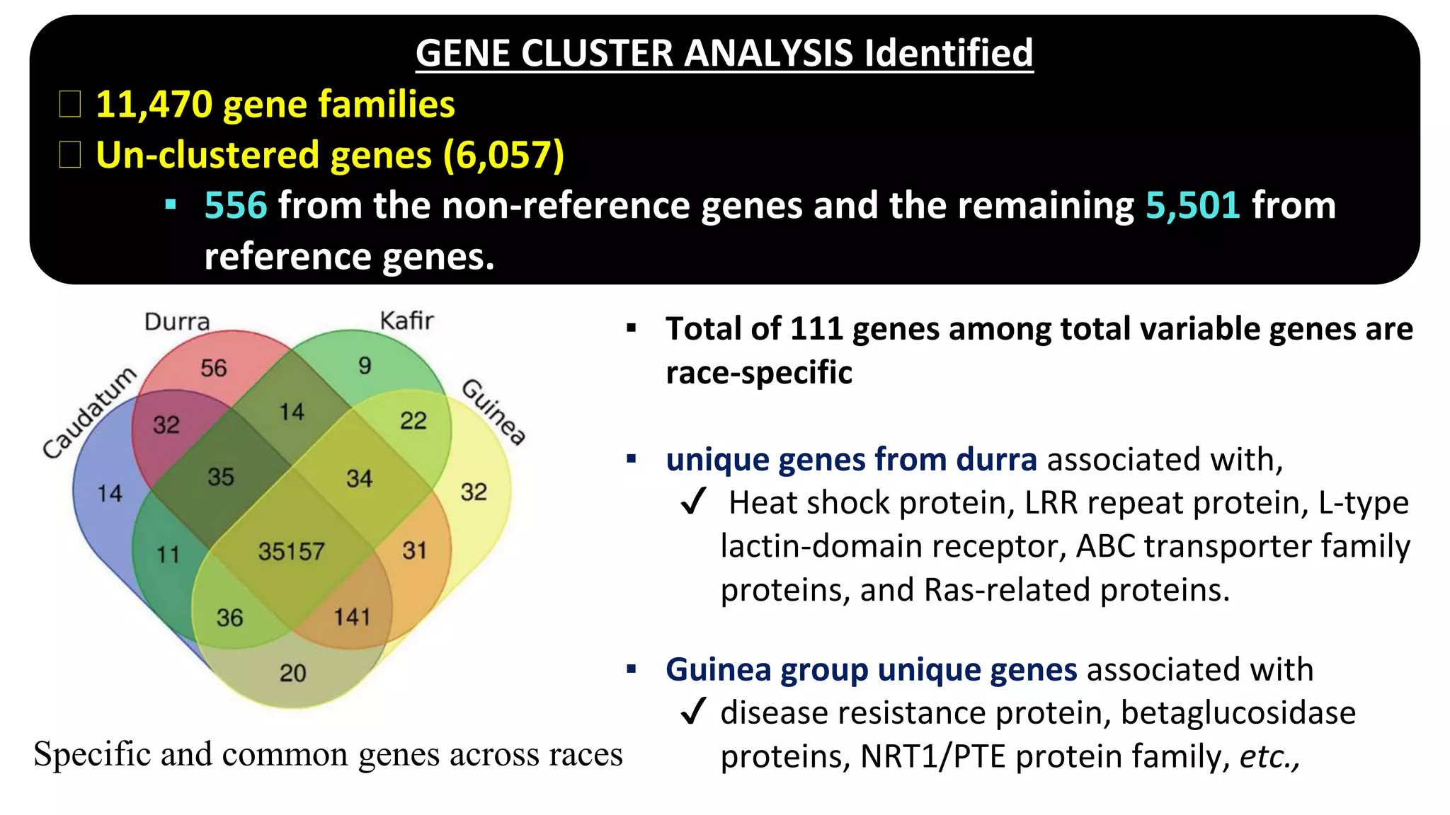 Genome to pangenome : A doorway into crops genome exploration | PPTX