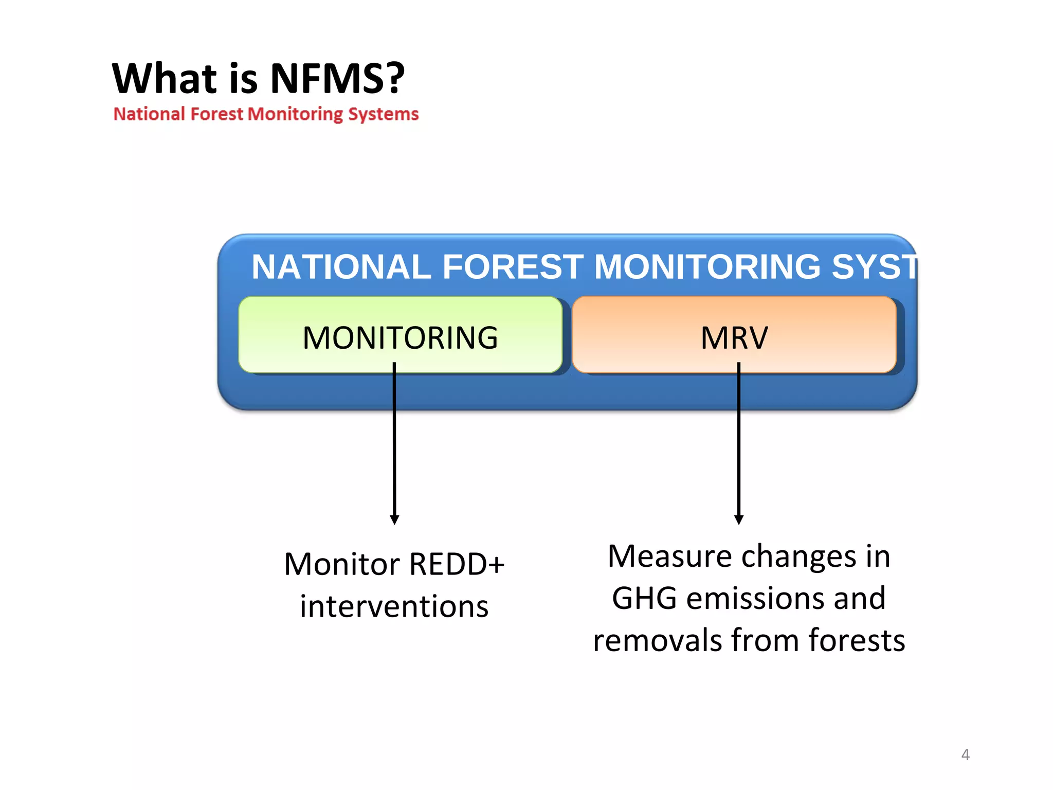 PNG National Forest Monitoring System | PPT