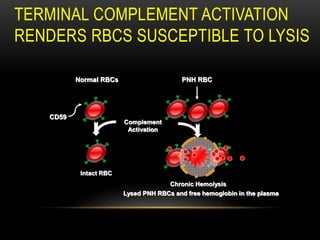 PNH.ppt | Blood Disorders | Diseases and Conditions
