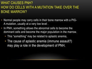 PNH.ppt