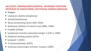 Paroxysmol Nocturnal Hemoglobinuria.pptx