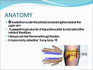 ulnar Entrapment Neuropathy and double crush syndrome | PPT
