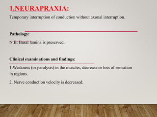 perephral nerve lesions.pptx