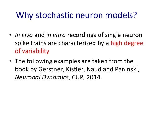 Perspectives On Applications Of A Stochastic Spiking Neuron Model To