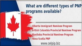 PNP an easier way to Canadian Immigration | PPT